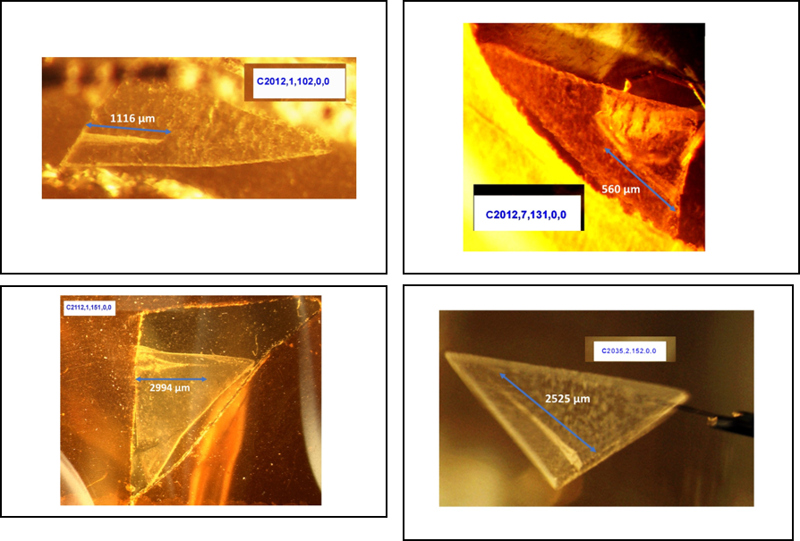 ARES | Astromaterials Newsletter | Stardust News | Volume 4 No. 1 ...