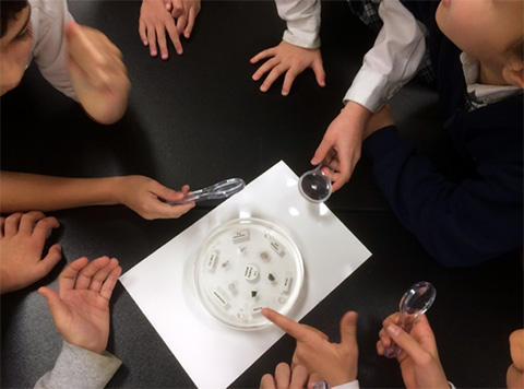 ARES: Lunar and Meteorite Sample Disk Program